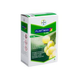 Fungicid sistemic anti fainare si putregai Flint MAX 75 WG 1Kg