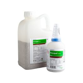 Erbicid selectiv pentru porumb - Principal FORTE 480g