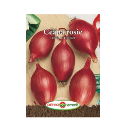 Seminte de ceapa rosie / roz - lunga di firenze