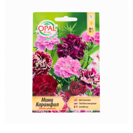 SEMINTE GAROAFA MINI 054 - OP