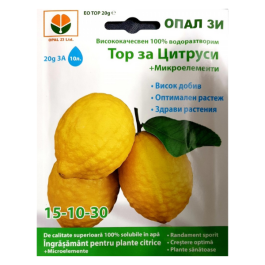 INGRASAMANT PENTRU CITRISE 20GR - OP