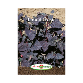 Seminte de loboda rosie pentru culturi de sera si de camp 1gr