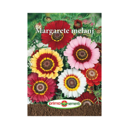 Seminte flori de MARGARETE ornamentale 1gr
