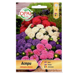 SEMINTE OCHIUL BOULUI PITIC MIX 022 - OP