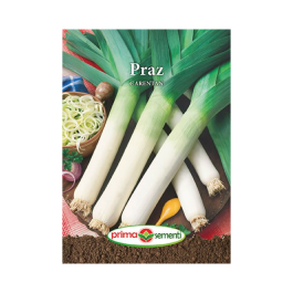 Seminte de praz CARENTAN pentru culturi de camp si sere 2gr