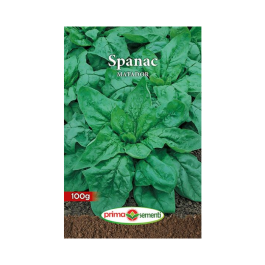Seminte profesionale de spanac Matador 100g