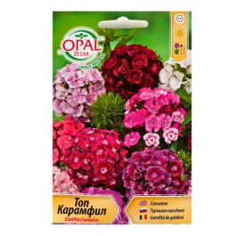 SEMINTE TOP GAROAFA PINOCCHIO 055 - OP