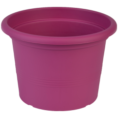 Ghiveci pentru flori Campanula 17 cm fuchsia-HYD
