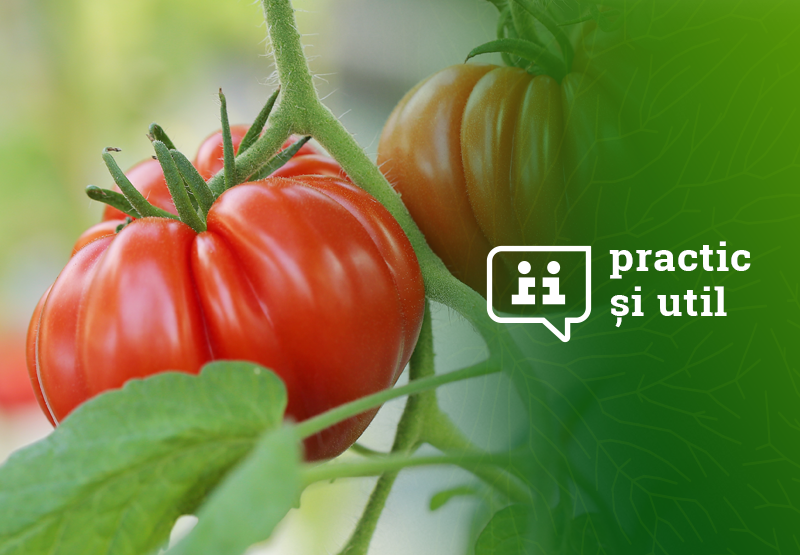 Cauti o schema de tratament la tomate pentru intregul sezon?